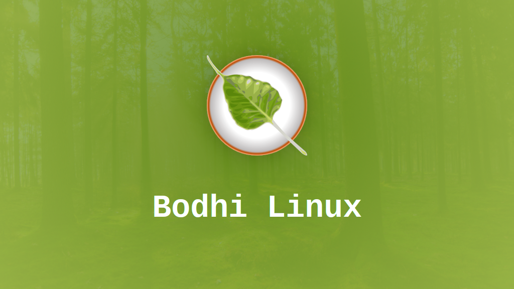 Bodhi Linux 7.0.0, 5.1.0 Torrent